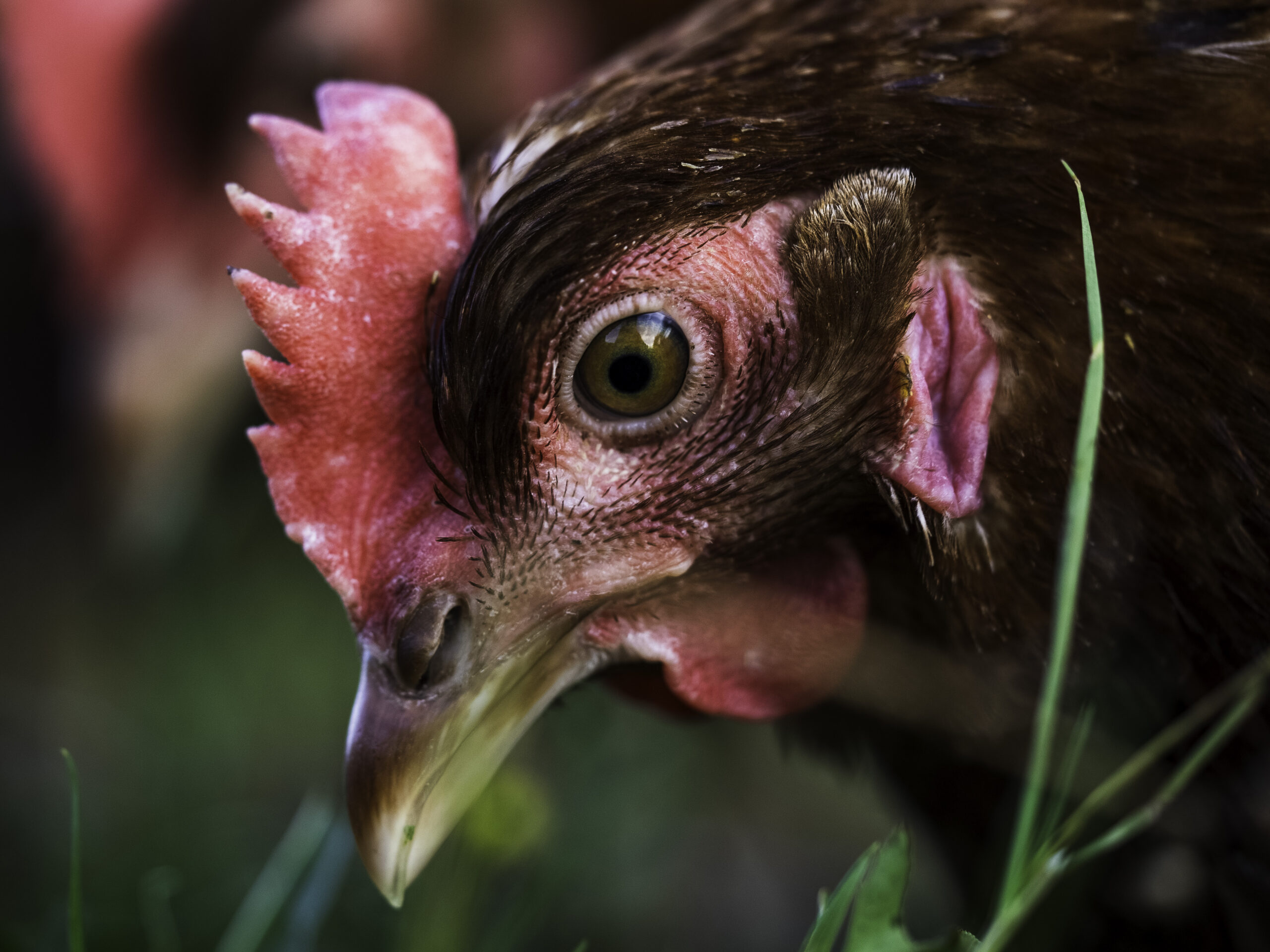 Trelleborg - REKO-RING ONLINE