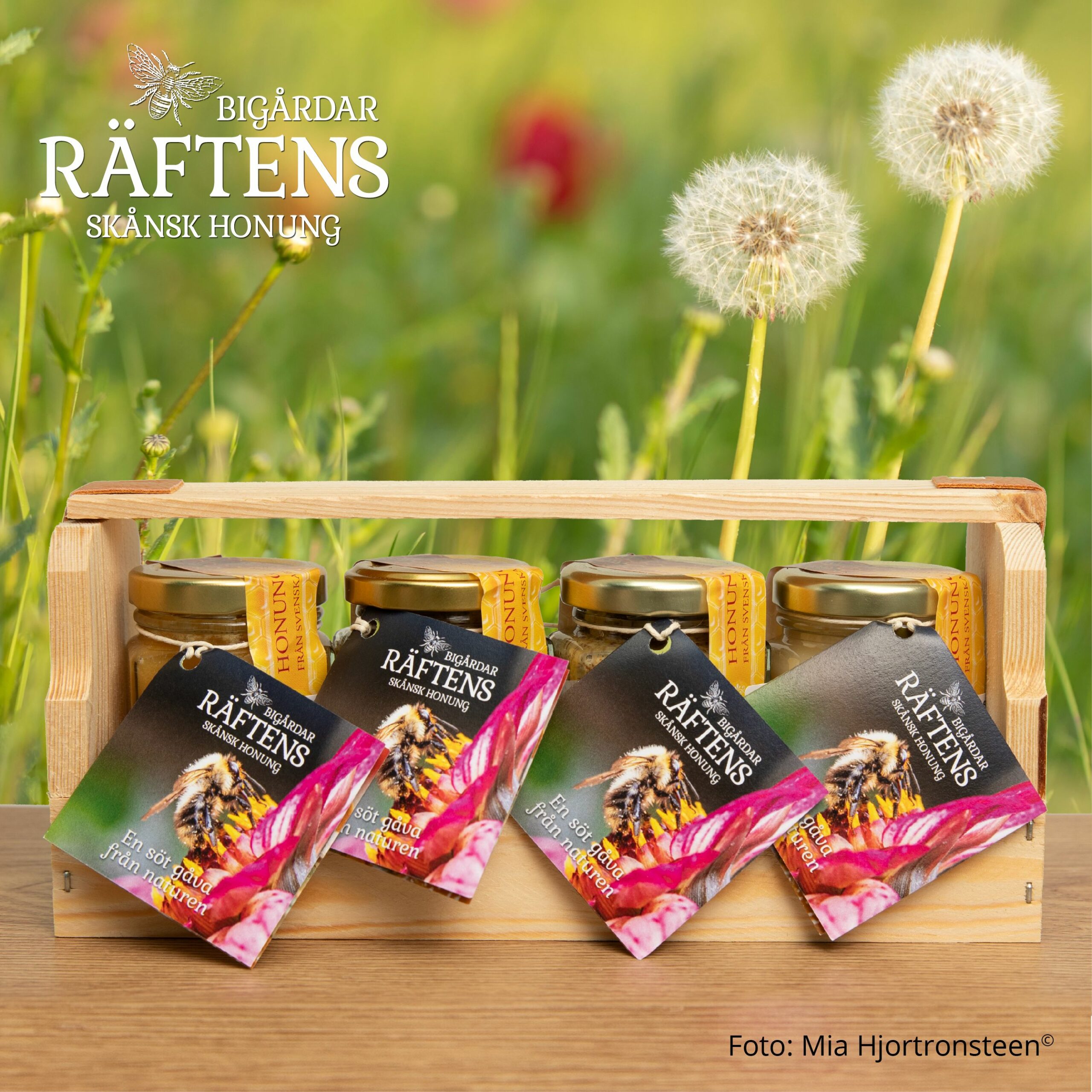 Provsmakning/Presentlåda 2 * 110 g Honung + 2 * 100 g Senap - REKO-RING ...